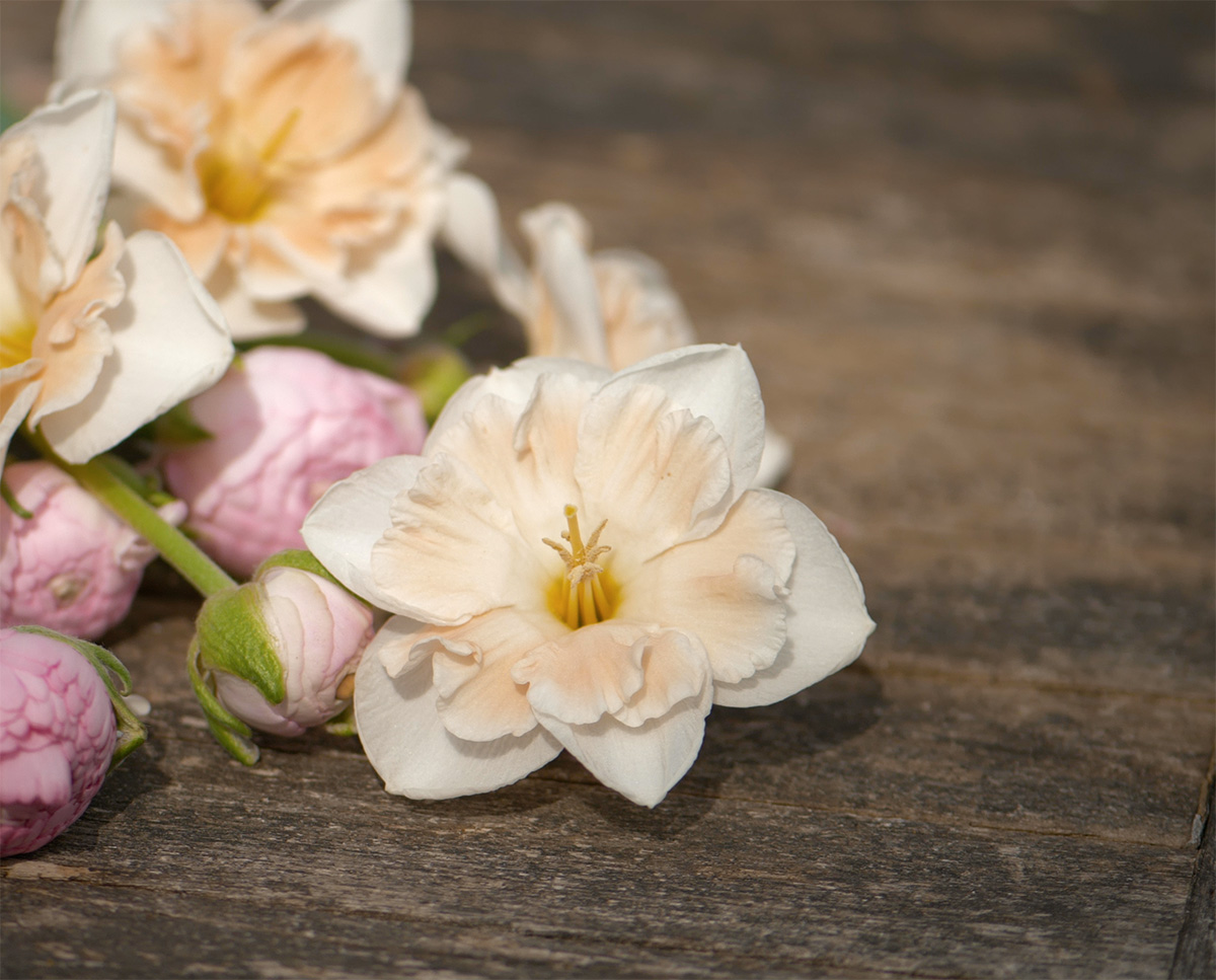 Inspiratie - Florabel